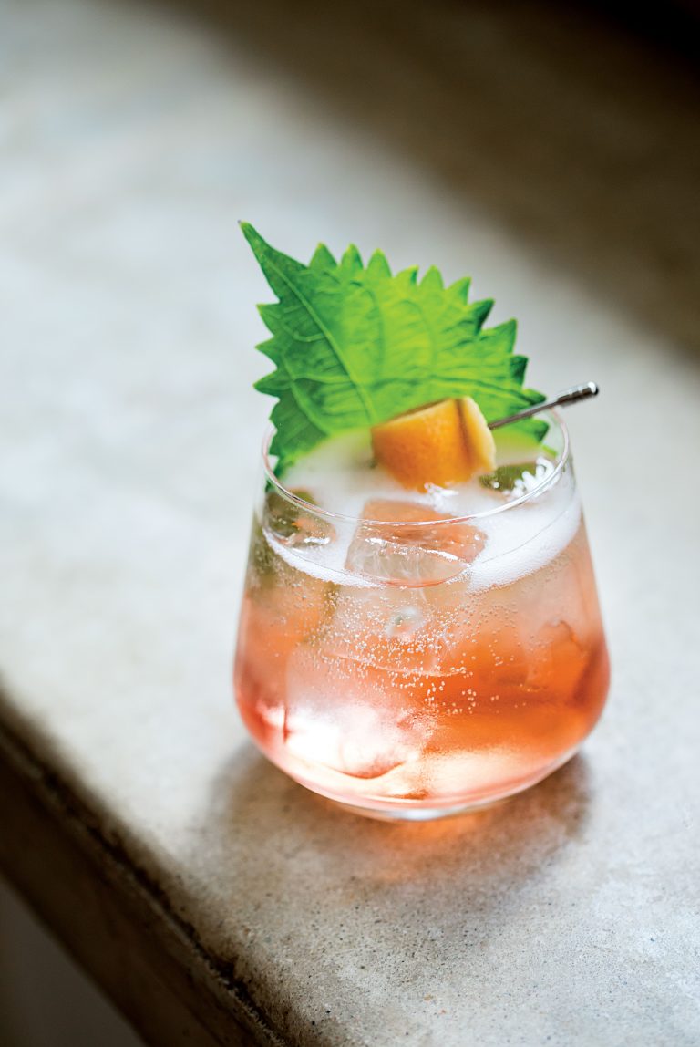 Not all Spritzes are Created Equal, but this Spritz IS Good – Tipsy Diaries
