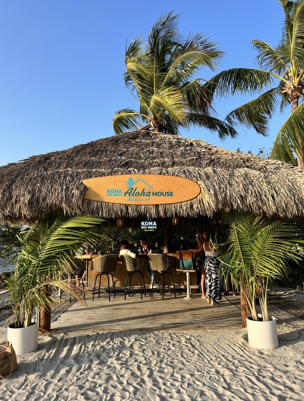 KONA Big Wave, the Refreshing Island-Style Premium Lager, Kicks Off ...